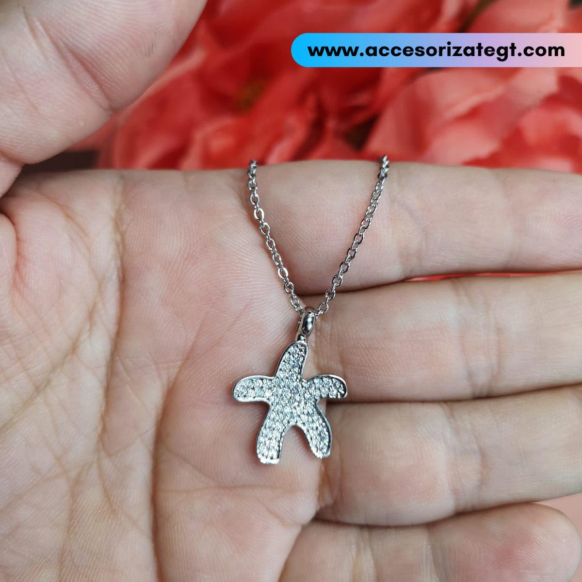 Set de Cadena y Aretes de Acero de Estrella de Mar [AC259 ...