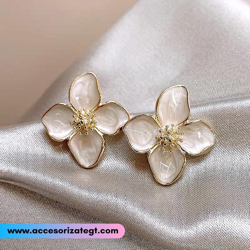 Accesorízate GT – Accesorizate GT